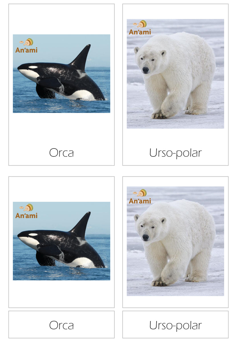 Cartões: Animais do Ártico 3 – An'ami Loja Online
